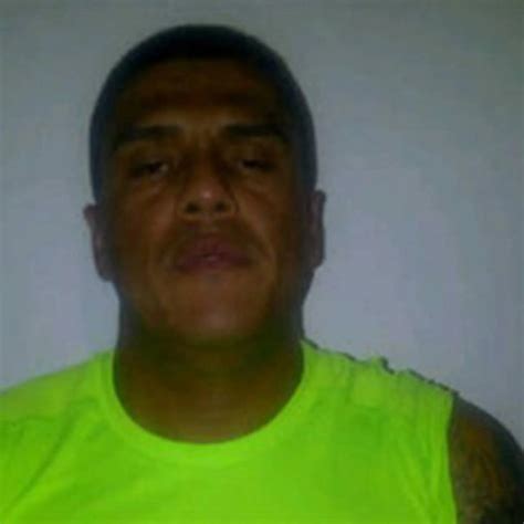 Carlos José Robayo Experto En Guacamayos Y Conservación Loros Y Guacamayos