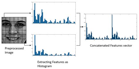Development Of A Robust Multi Scale Featured Local Binary Pattern For Improved Facial Expression