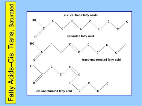 PPT Chapter B The Structure And Function Of Macromolecules Lipids PowerPoint Presentation