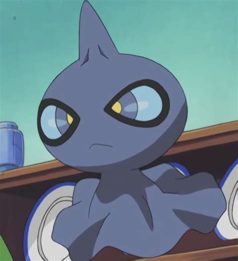 Ashley Pokemon Erfindung Wiki Fandom