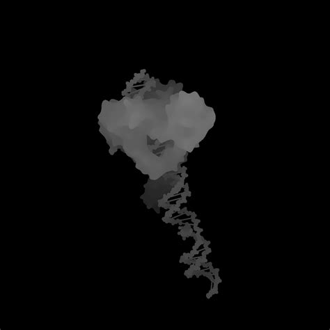 DMesh
