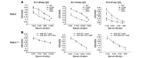 Abnormal Anti Sheep Igg Responses Occur When Daf Is Absent Outside T