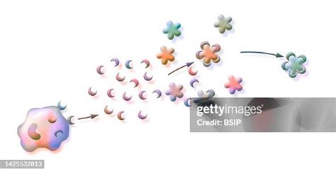 Immunity Drawing High Res Vector Graphic Getty Images