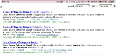 Understanding The Oracle SES Search User Interface