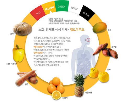 레드·그린·옐로우·블랙·화이트 등 대표되는 컬러푸드 Todays Infographics
