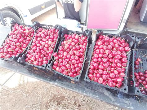 Feira Anual Do Moledo Freguesia De São Bartolomeu Dos Galegos E Moledo