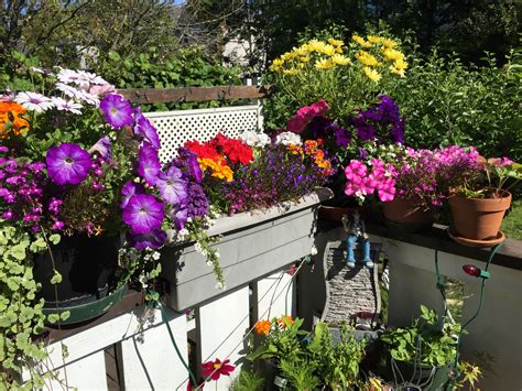 Gratuitous Sex I Mean Garden Scenes Pink Gazelle Productions