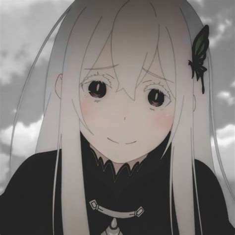 Echidna Re Zero