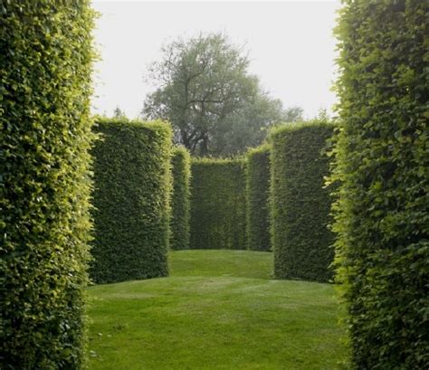 18 Maze Design Ideas Maze Design Maze Labyrinth Maze