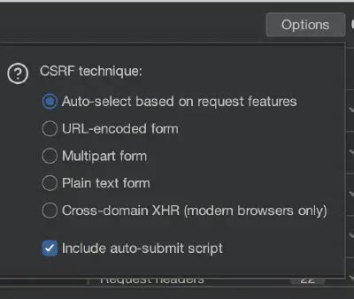 Burp Repeater Testing Handbook