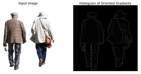 Evolution Of Object Detection Sentisightai