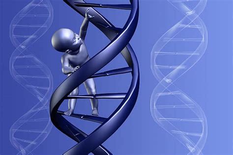 New Study Suggests Only 8 2 Of Our DNA Is Functional Rest Are Lazy The Tech Journal