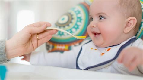 El Bebé De 6 Meses Guia De Desarrollo De Los Bebés