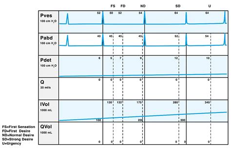 Bladder Testing With Urodynamics And Imaging Darlinghurst