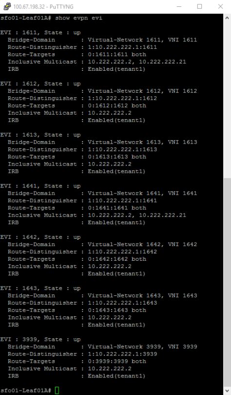 Verify Bgp Evpn And Vxlan Between Leaf Switches Vmware Cloud Foundation On Vxrail Multirack