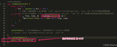 Golang 获取调用函数的源文件路径和所在行号， 获取异常发生的源文件路径和行号方法 Runtimecaller Callers
