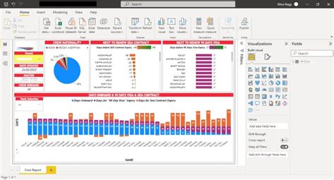 Dataanalysis Dataanalytics Powerbi Oilandgasindustry Mina Nagy