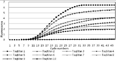 illustration of the structure of a taqman dna probe here r and q