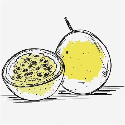 线条简笔画黄金百香果矢量图高清素材 页面 设计图片 免费下载 页面网页 平面电商 创意素材 Png素材