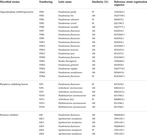 Diversity Of Potassium Solubilizing Bacteria And Phosphate Solubilizing