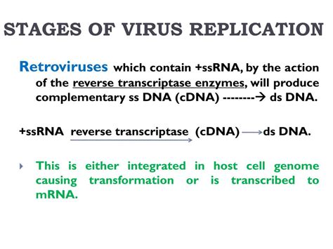 PPT Structure Replication Of Viruses By Dr Marwa Salah PowerPoint Presentation ID 6800400