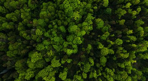 Iot In Environmental Monitoring Infisim