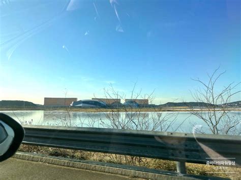 [영종도 인스파이어 리조트 아레나]오로라위치 핑크고래 시간 주차가까운곳 네이버 블로그