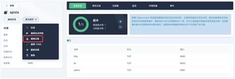 在 kubesphere 中使用 apache apisix ingress 网关接入自定义监控 支流科技