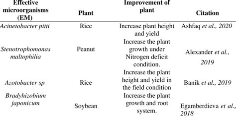 List Of Effective Microorganisms Types Of Plant And Benefit Towards