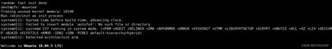 Linux内核启动报错kernel Panic Not Syncing No Working Init Found 问题分析数据库