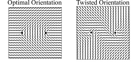 Left Director Configuration For Two Oppositely Charged Two