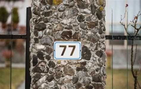 Angel Number 3377: Meaning & Symbolism (Numerology Secrets Of 3377