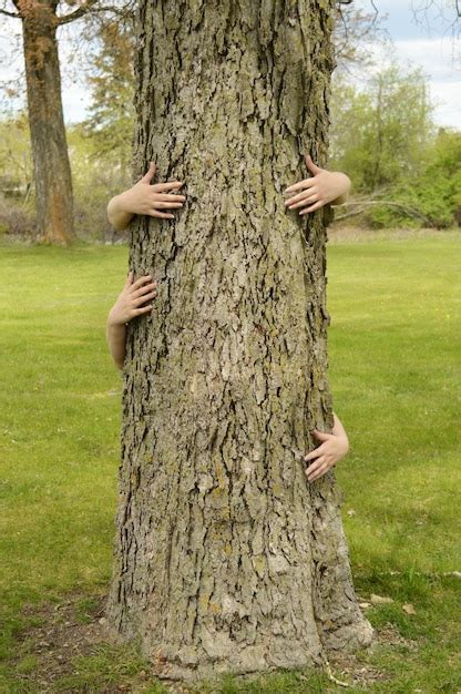 Premium Photo Human Hand On Tree Trunk In Forest