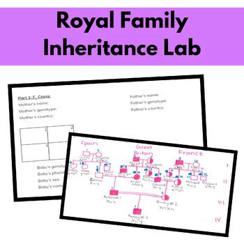 Royal Family Inheritance Lab Genetics Sex Linked Punnett Squares Pedigrees