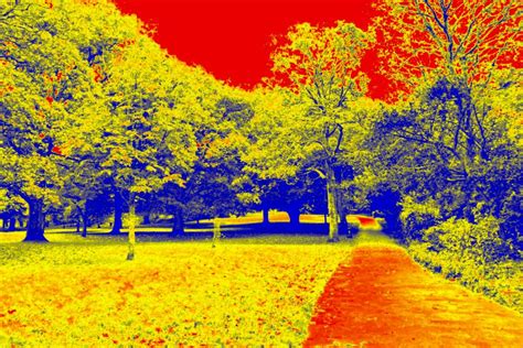 Rayos Infrarrojos Qué Son Características Y Para Qué Sirven Resumen