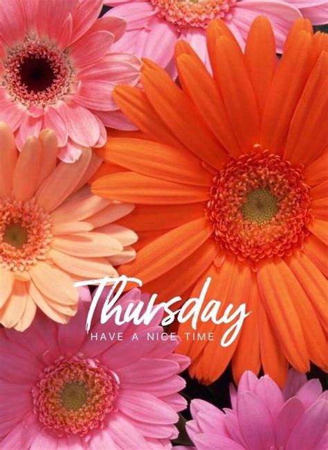 Happy Thursday Have A Nice Time With Colorful Flowers Happy Thursday