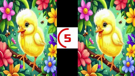 전문 두뇌운동 정답은 단 하나 절대 못찾는 틀린그림찾기 Youtube