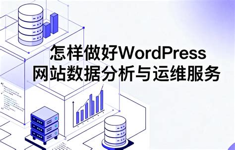 怎样做好wordpress网站数据分析与运维服务 云策wordpress建站