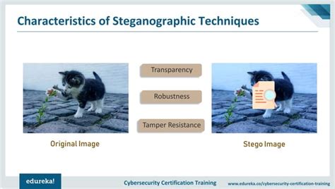 steganography tutorial how to hide text inside the image