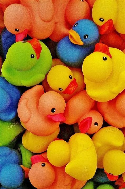 Colorful Rubber Ducks Rainbow Colors Rubber Duck Rubber Ducky