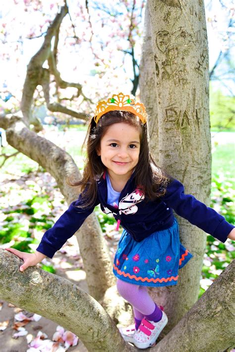 Dolce Modz Star Video Telegraph