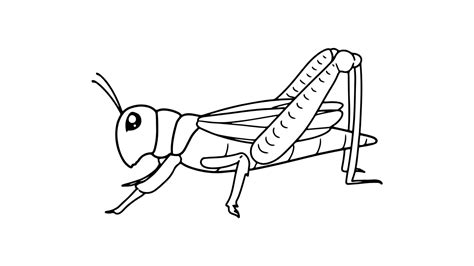 What Brands Use Acheta Powder