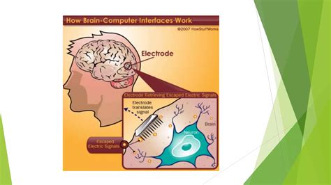 Brain Computer Interface Ppt PPTX Brain And Nervous System