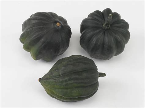 Cucurbita Pepo Tuffy