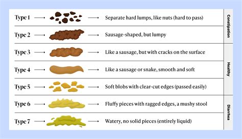 No Sex Please Im Constipated