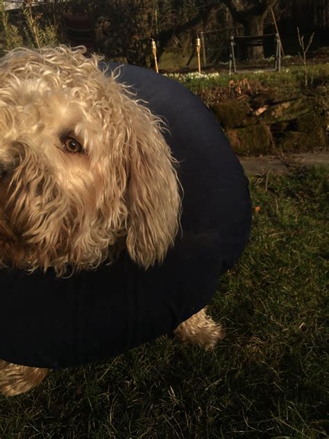 Fred Ferkel Ludwigwotka Flickr