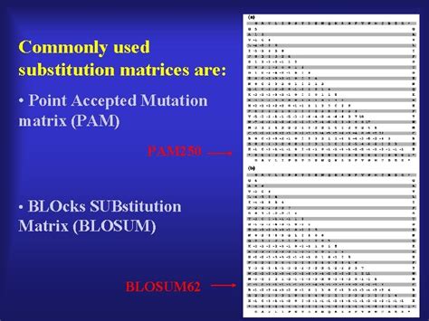 Sequence Alignment Two General Methods For Sequence Alignment
