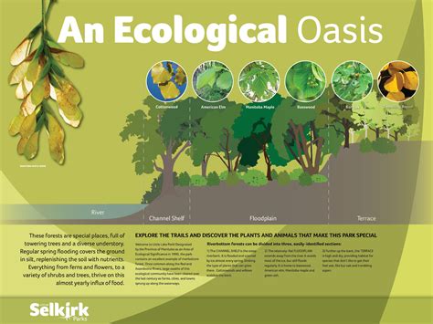 Interpretive Signage Designlayout On Behance