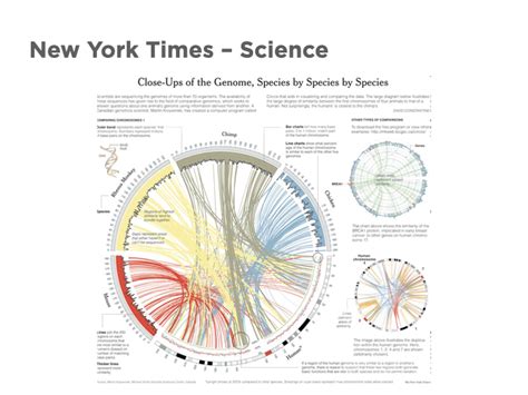 Introduction To Circos Circos Circular Genome Data Visualization