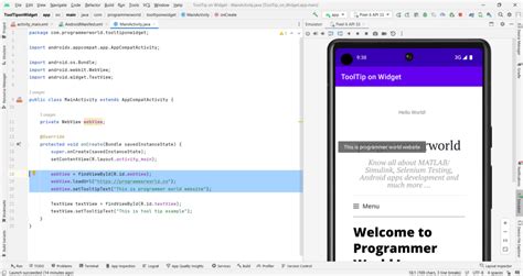 How To Set Tooltiptext Over Any Widgets View Example Webview
